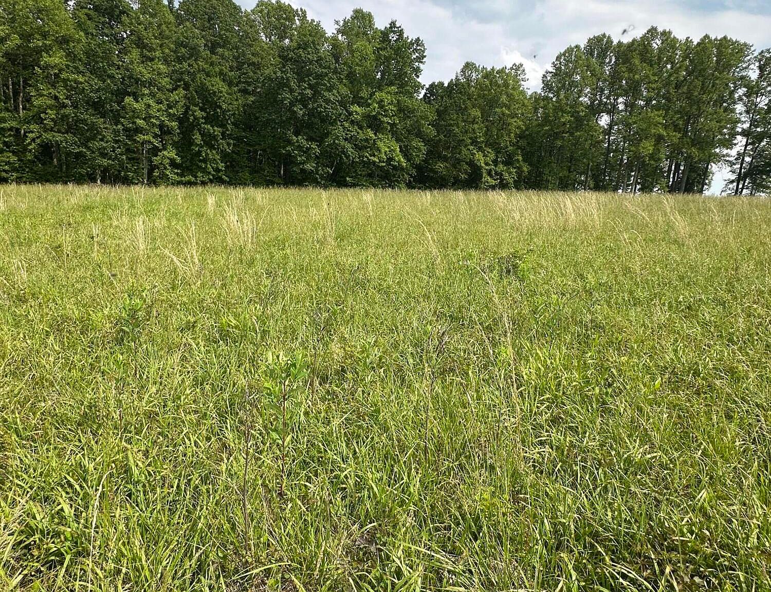 Miller Ridge Rd, Hico, WV 25854 | Zillow