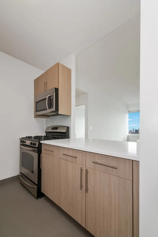 200 Water Street #1117 in Fulton/Seaport, Manhattan | StreetEasy