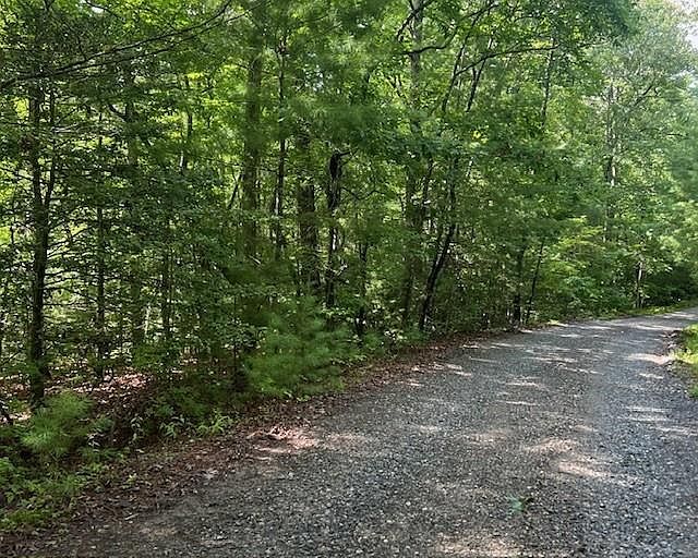 0 Hillbilly Holler #16-17, Blue Ridge, GA 30513 | MLS #7429512 | Zillow