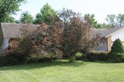 1818 W Winchester St, Springfield, MO 65807 | Zillow