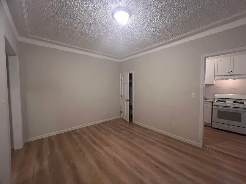 265 Ocean Avenue #3D in Prospect Lefferts Gardens, Brooklyn | StreetEasy