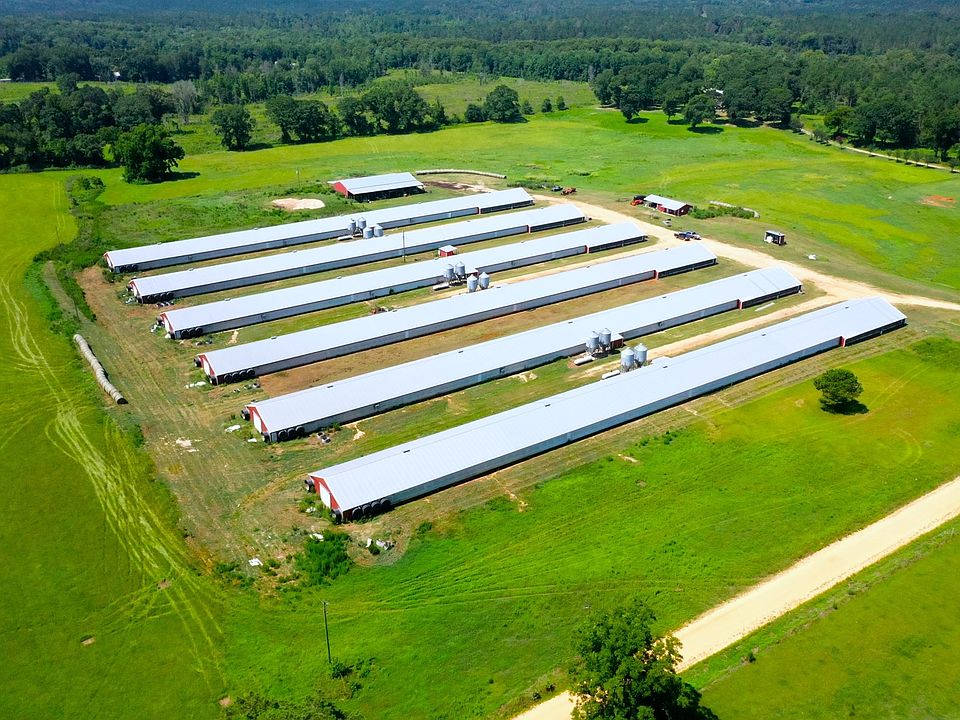 763 Milton Rd, Rutledge, AL 36071 | Zillow