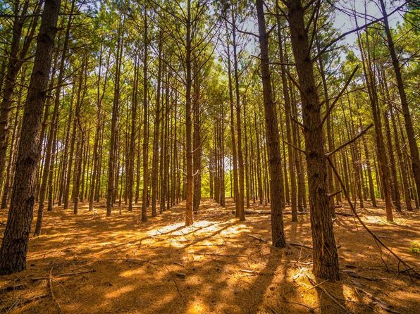 Laneville TX Real Estate - Laneville TX Homes For Sale | Zillow