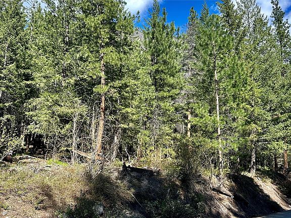 526 A Lost River Road, Mazama, WA 98833 | MLS #2273559 | Zillow