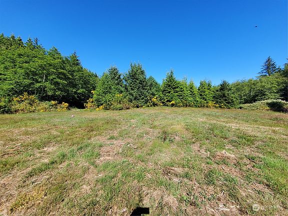 0 Oregon Lane, Aberdeen, WA 98520 | MLS #2134366 | Zillow