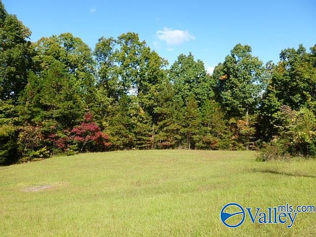 37.56 Happy Hill Cutoff Rd, Boaz, AL 35956 | Zillow