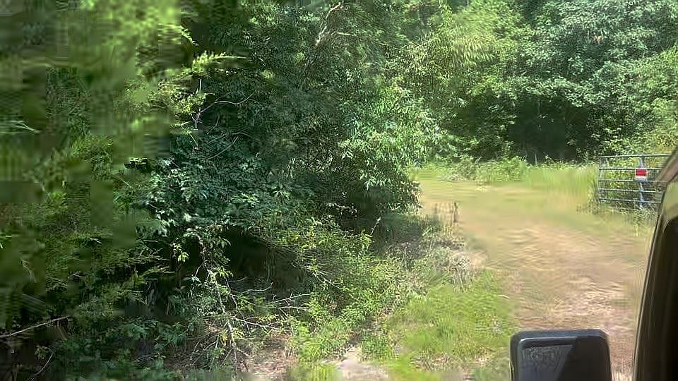 0 Highway V, Redford, MO 63665 | Zillow