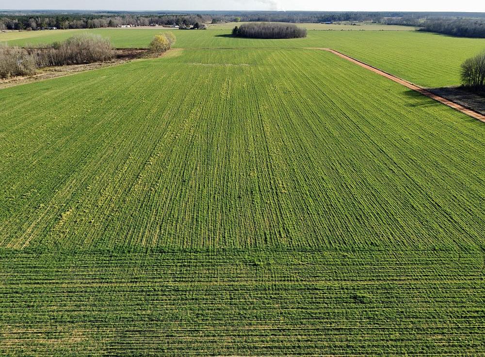 0 Byrd Ln, Atmore, AL 36502 | Zillow