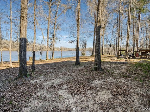 6980 County Road 225 Rd, Minter, AL 36761 | MLS #572410 | Zillow