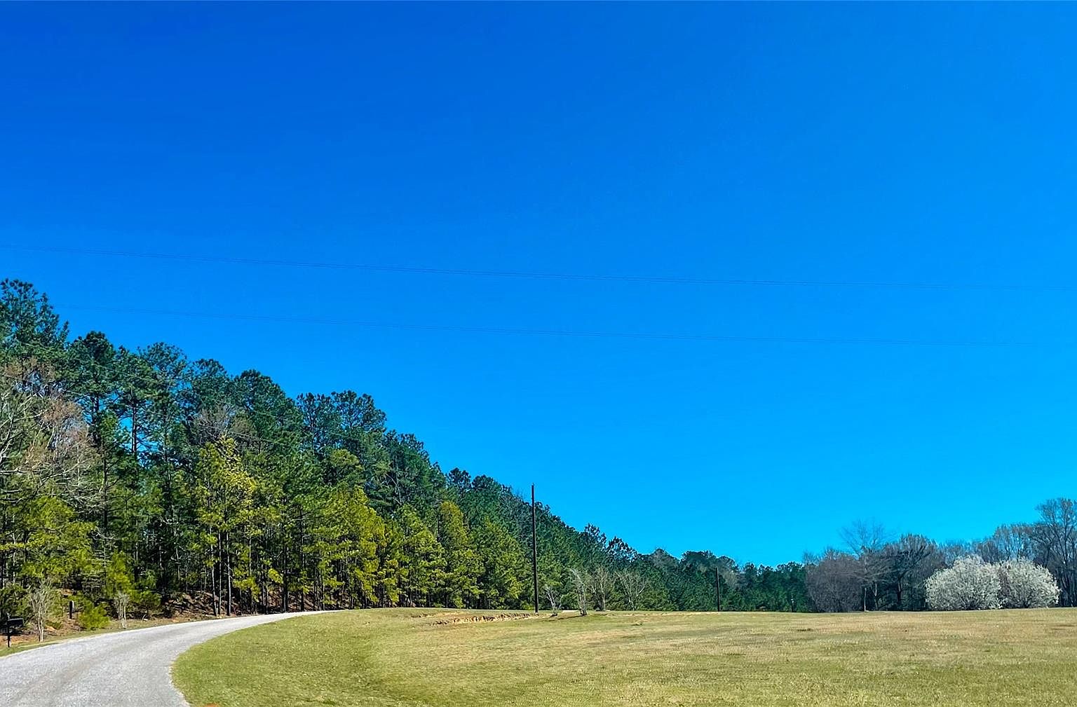 48 Chesson Hill Dr, Fitzpatrick, AL 36029 | Zillow