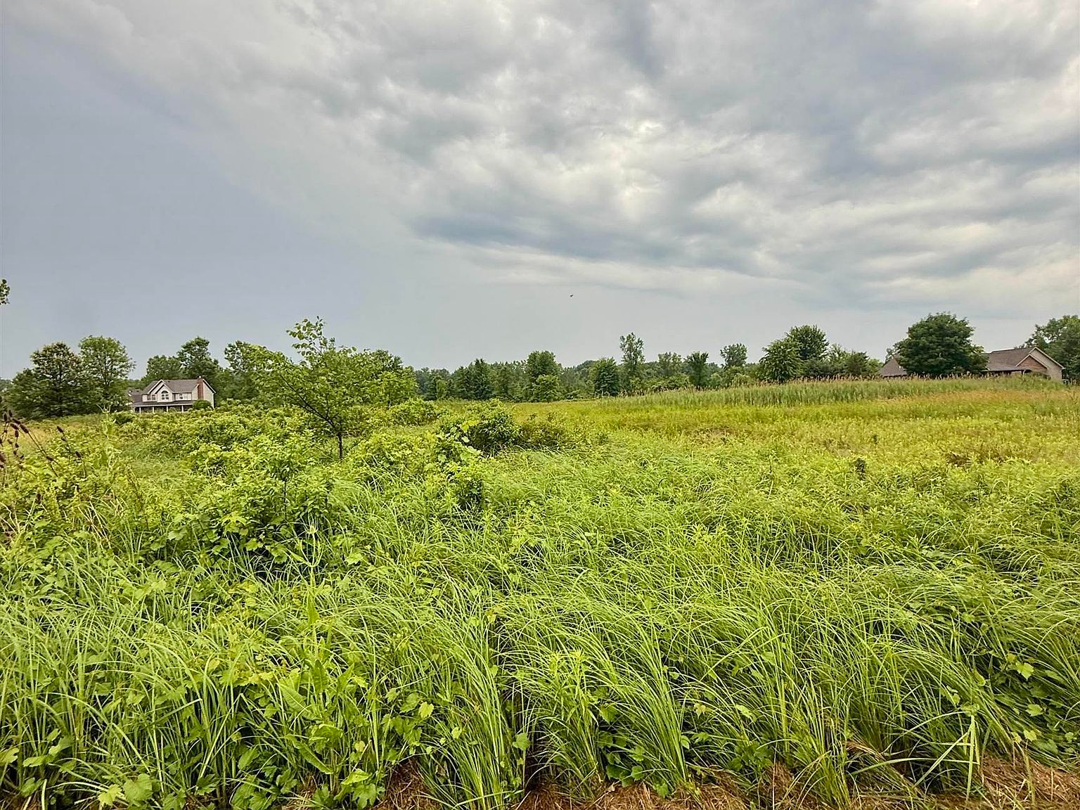 Yale Rd, Yale, MI 48097 | MLS #50181067 | Zillow