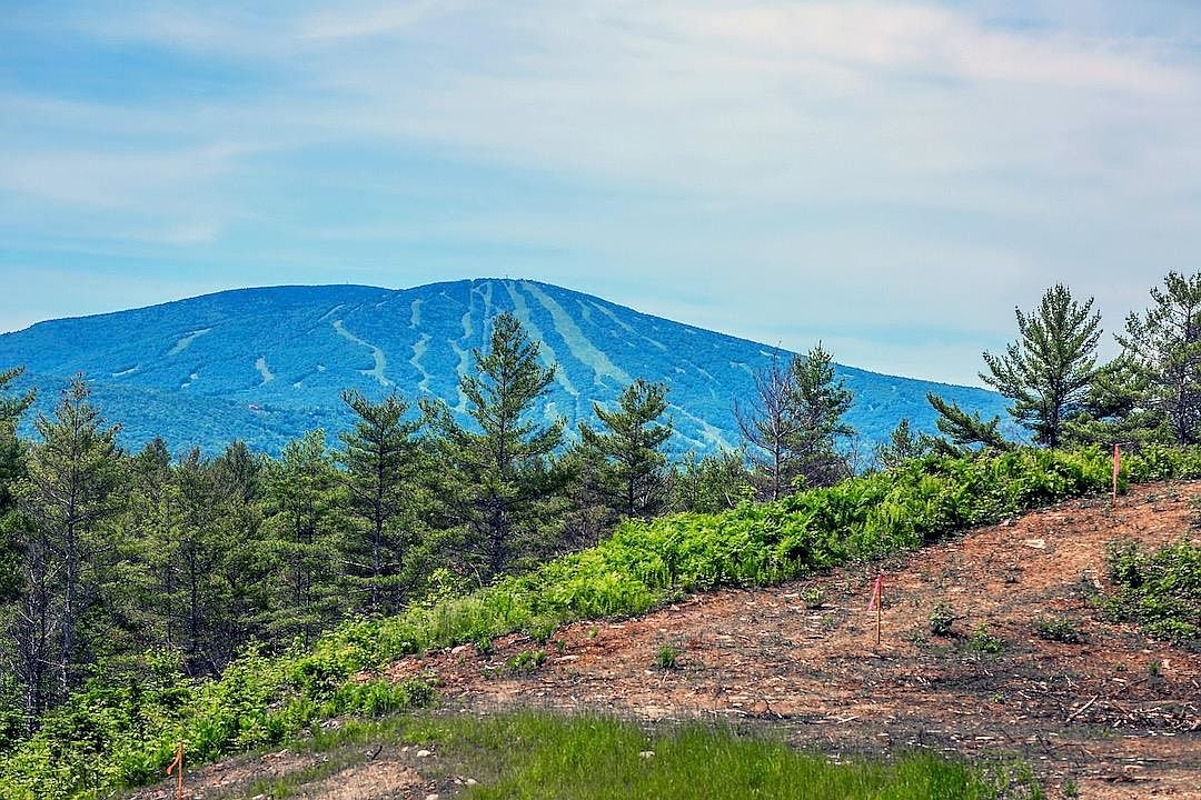 4935 VT Route 11 East, Londonderry, VT 05148 | MLS #4986837 | Zillow