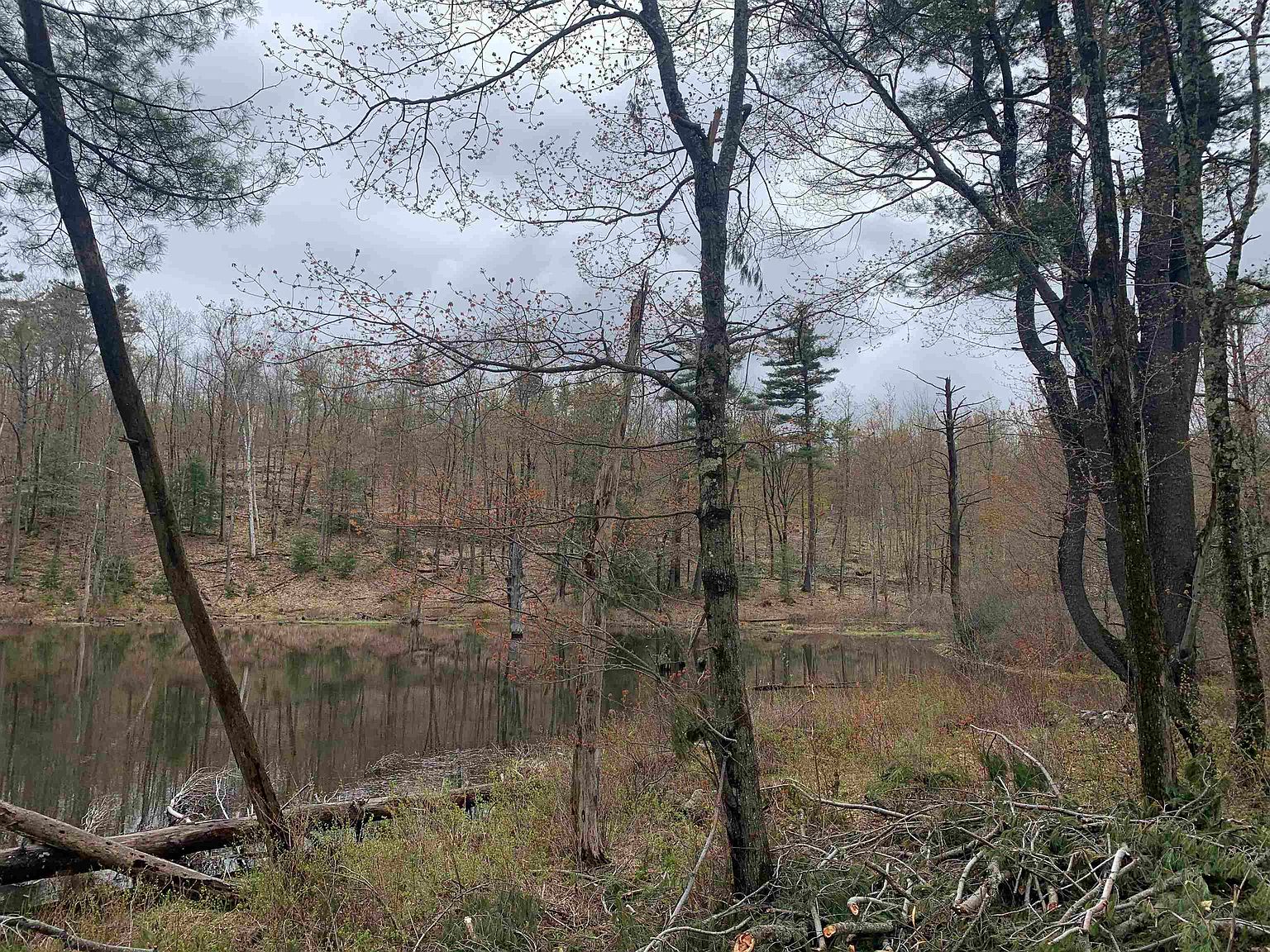 Map 52 Lot 2B Pratt Road, Alstead, NH 03602 | Zillow
