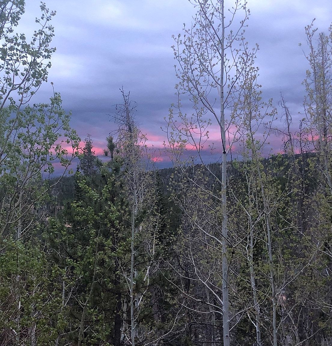 227 Micmac Dr, Red Feather Lakes, CO 80545 | Zillow