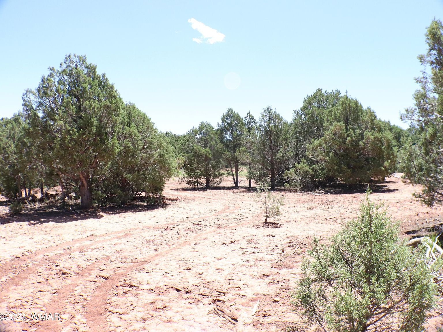 6717 Cheney Ranch Loop, Show Low, AZ 85901 | Zillow