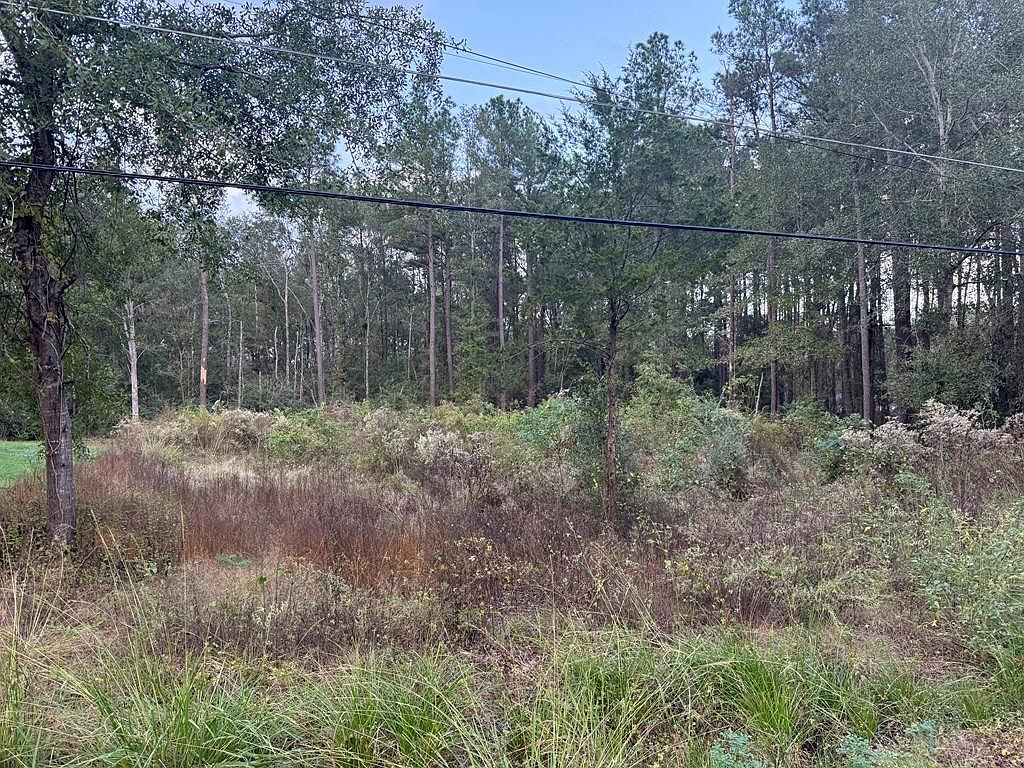 709 Sandy Brook St, Lufkin, TX 75901 | MLS #75354852 | Zillow