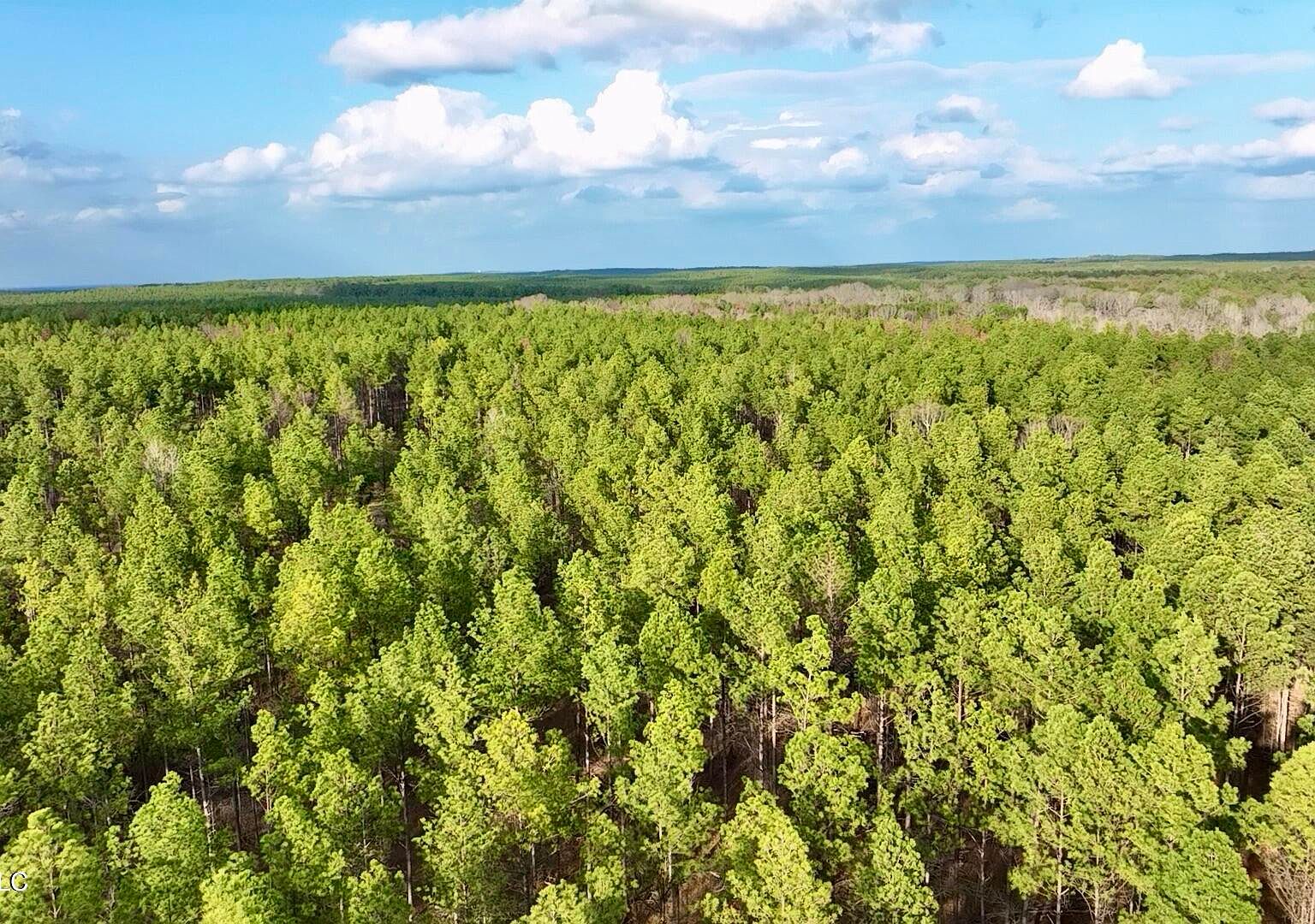 1 Putnam Rd, Pickens, MS 39146 | Zillow