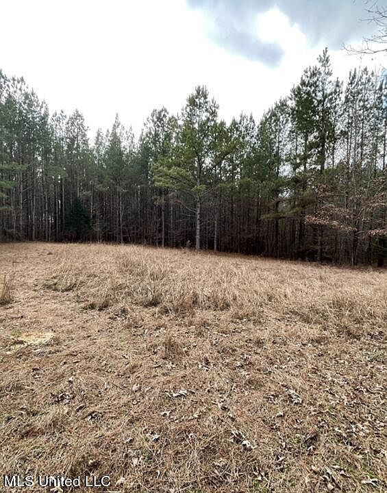 Permenter Rd, Camden, MS 39045 | Zillow