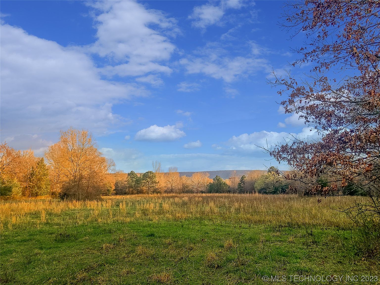 County Road 1630, Talihina, OK 74571 | Zillow