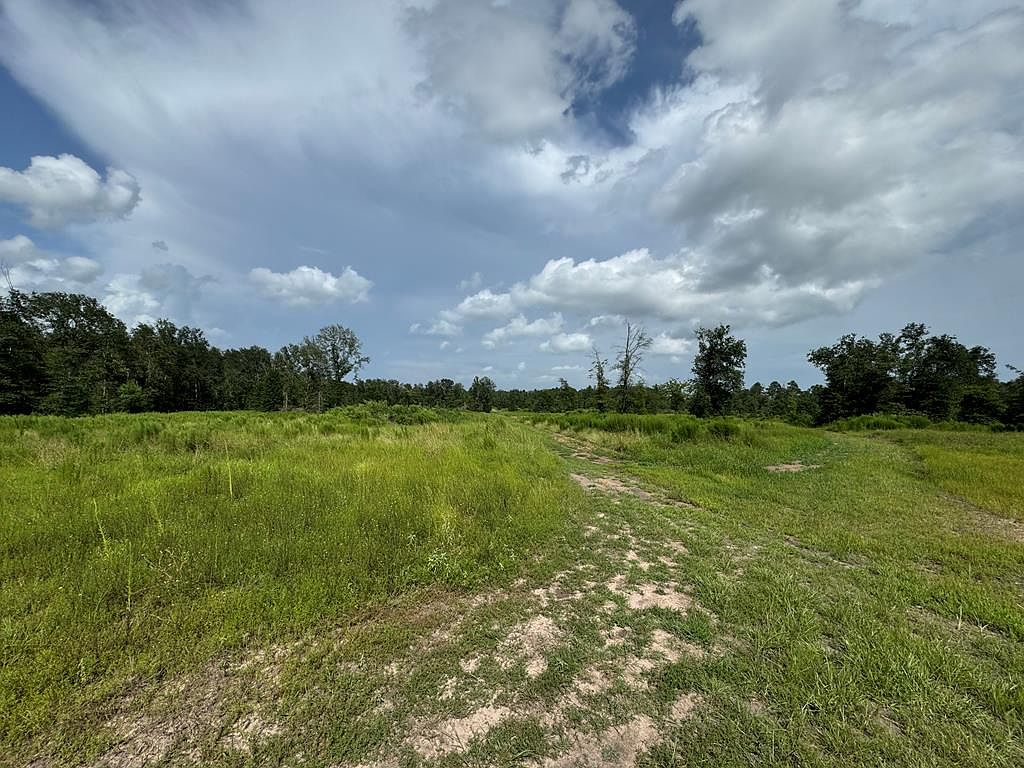 0 Timber Ranch Rd, Apple Springs, TX 75926 | MLS #73397 | Zillow