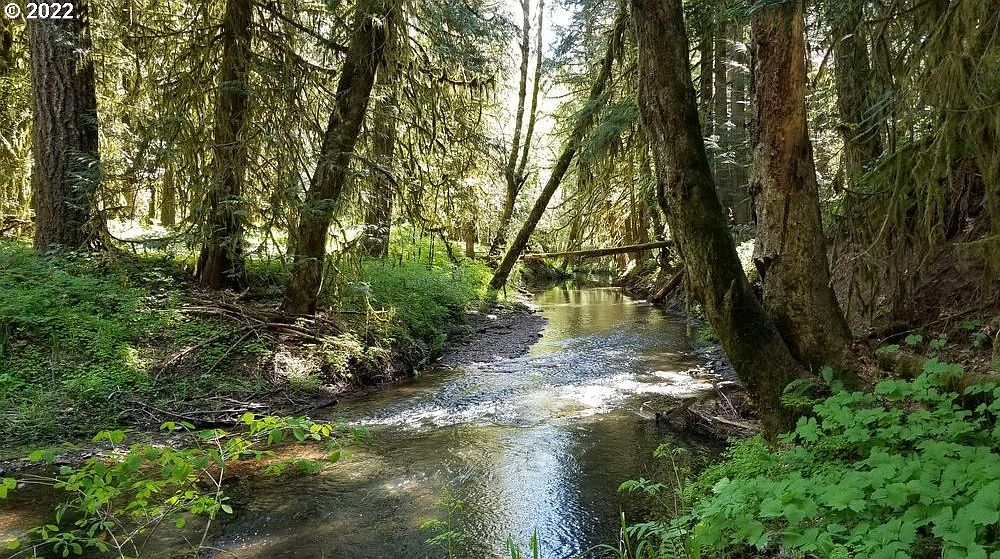18176 NW Timber Rd, Forest Grove, OR 97116 | Zillow