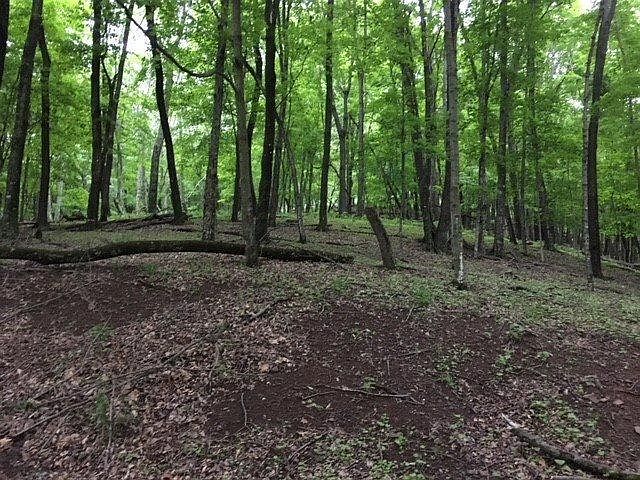 23810 Criders Rd, Criders, VA 22820 | Zillow