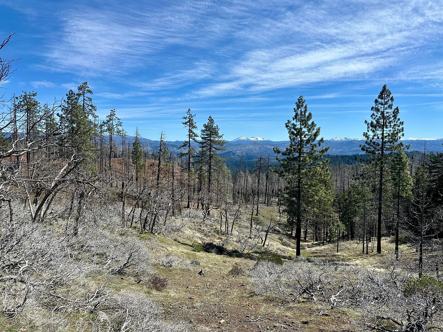 4050 Zenia Lake Mountain Rd, Zenia, CA 95595 | MLS #269112 | Zillow