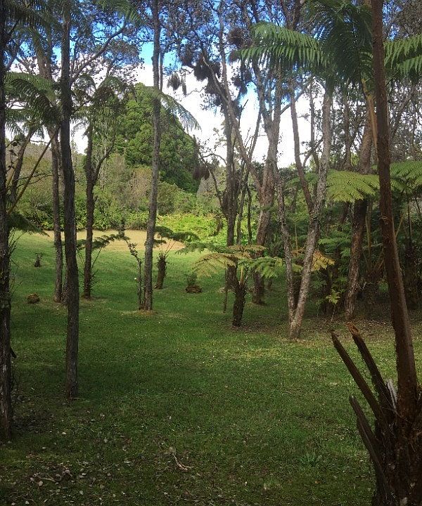 36 Kalani Honua Rd, Volcano, HI 96785 | Zillow