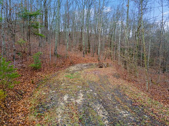 1237D High Rock Rd, Stanton, KY 40380 | MLS #24005412 | Zillow