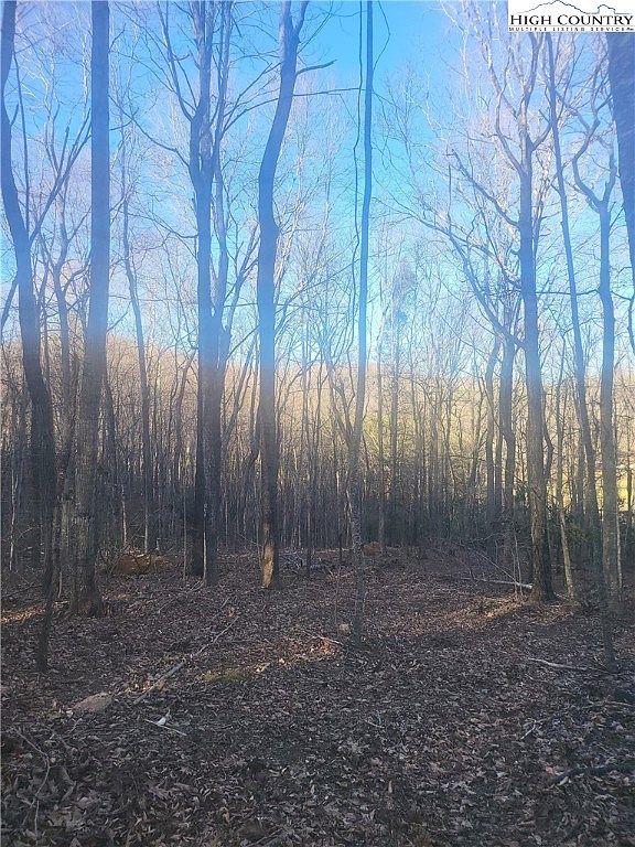 TBD Bluff Ridge Road, West Jefferson, NC 28694 | MLS #256028 | Zillow
