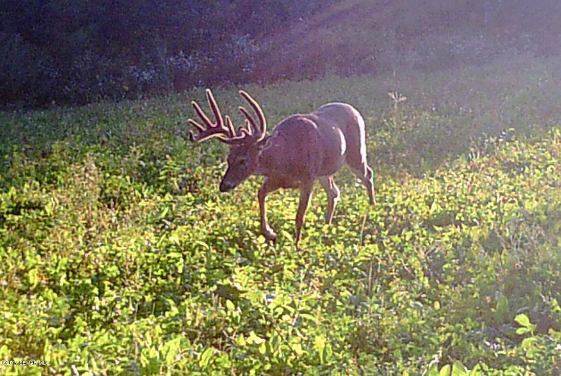 Tbd 194th St, Mabel, MN 55954 | Zillow