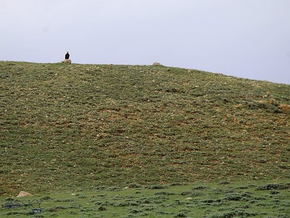 130 Sunshine Dr, Garrett, WY 82058 | Zillow