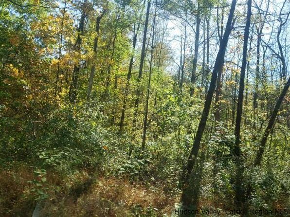 Burlingham Real Estate - Burlingham NY Homes For Sale | Zillow