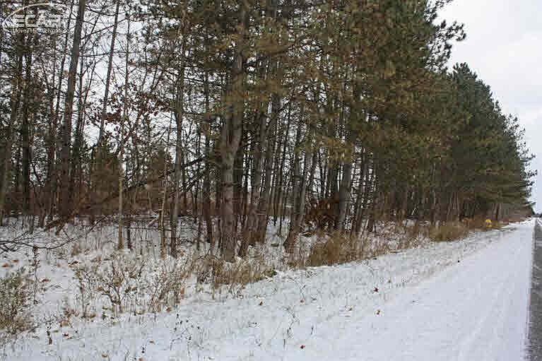 0 E Lansing Rd, Bancroft, MI 48414 | Zillow