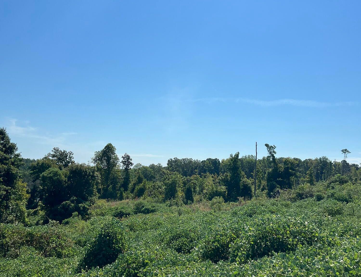 County Road 119, Okolona, MS 38860 | MLS #25-314 | Zillow