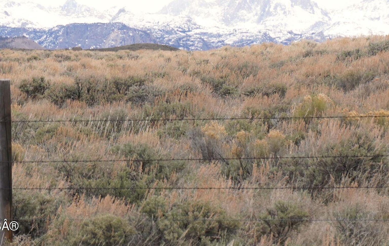 Binning Ranch Rd LOT 2, Pinedale, WY 82941 | MLS #25-417 | Zillow