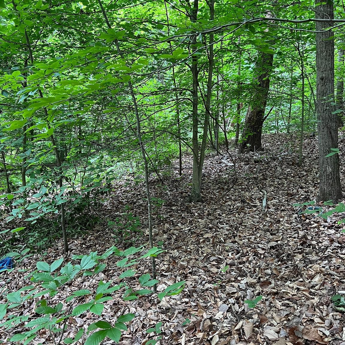 Quarry, Stafford, VA 22554 | Zillow