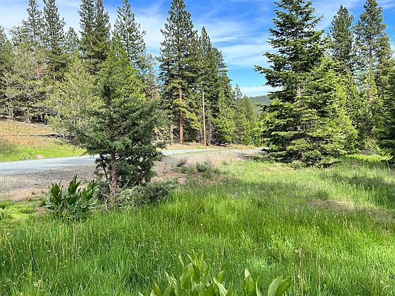 0 California Pines Blvd LOT 41, Alturas, CA 96101 | MLS #OC24087121 ...