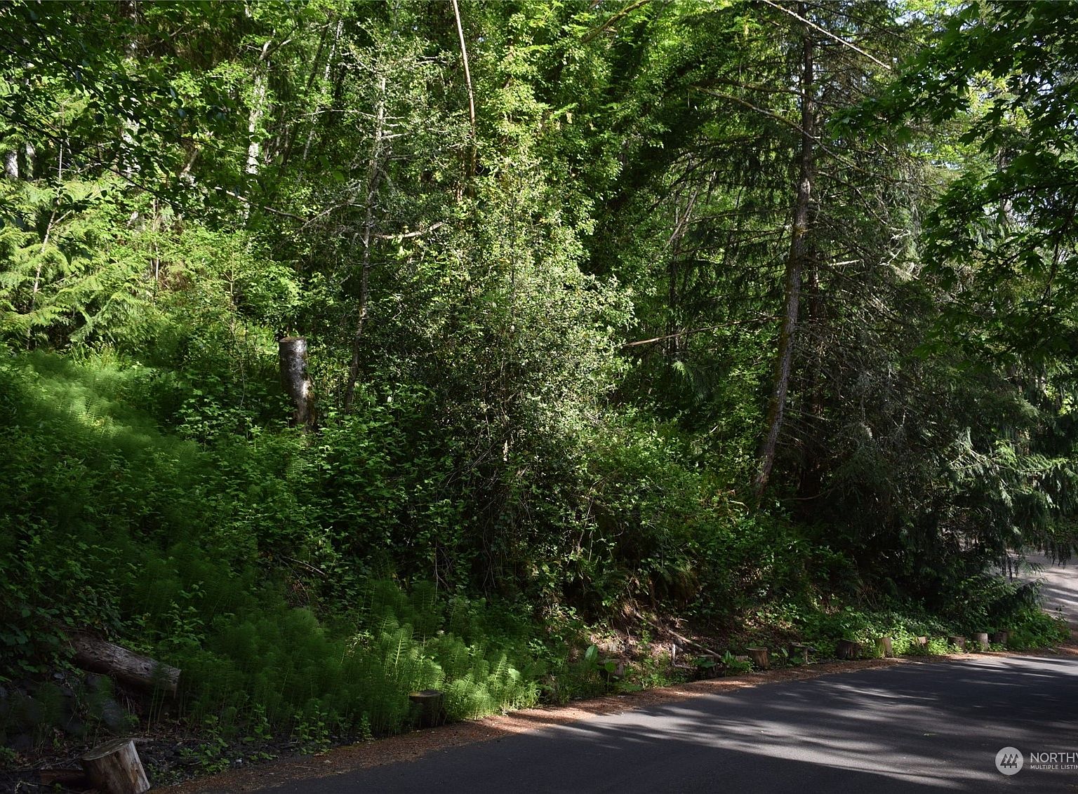 4732 Dunbar Drive NW, Gig Harbor, WA 98335 | MLS #2181803 | Zillow