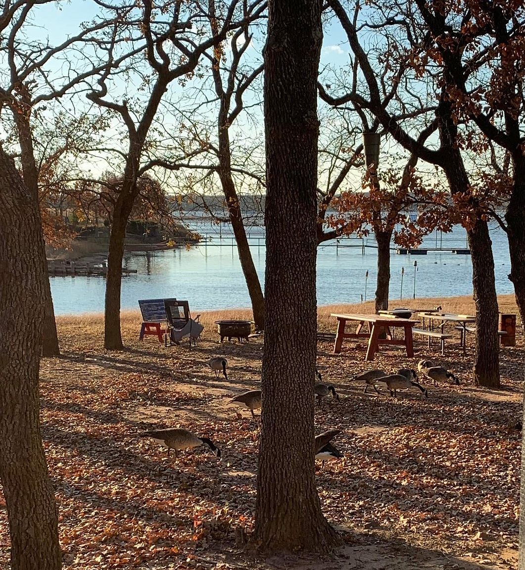 160 Cherokee Trl, Nocona, TX 76255 | Zillow