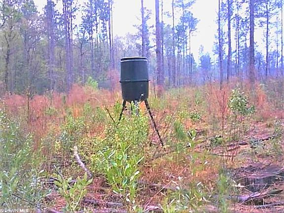 23646 Luke Hadley Rd, Atmore, AL 36502 | MLS #342958 | Zillow