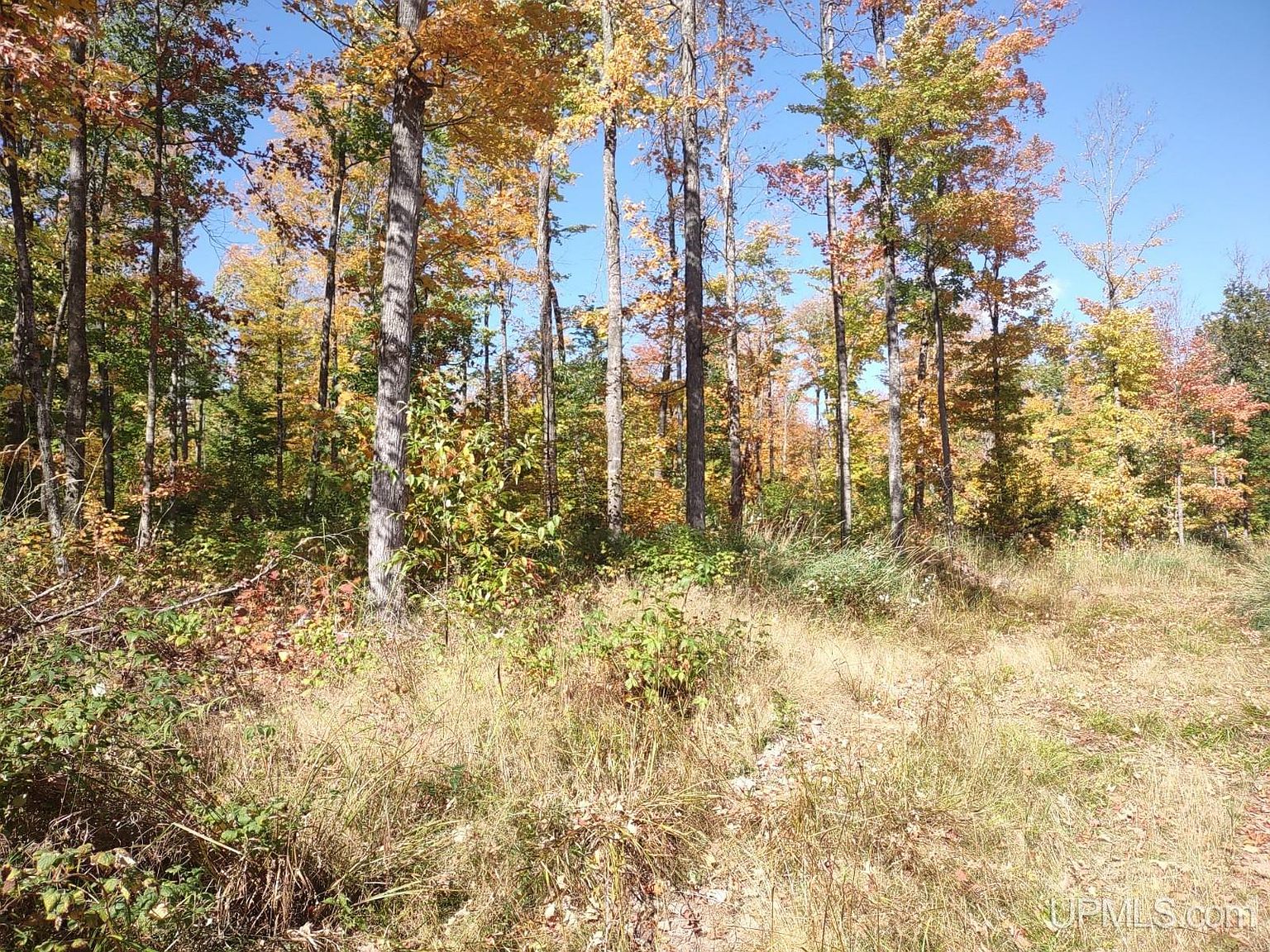 Off M38 Hwy, Pelkie, MI 49958 | Zillow