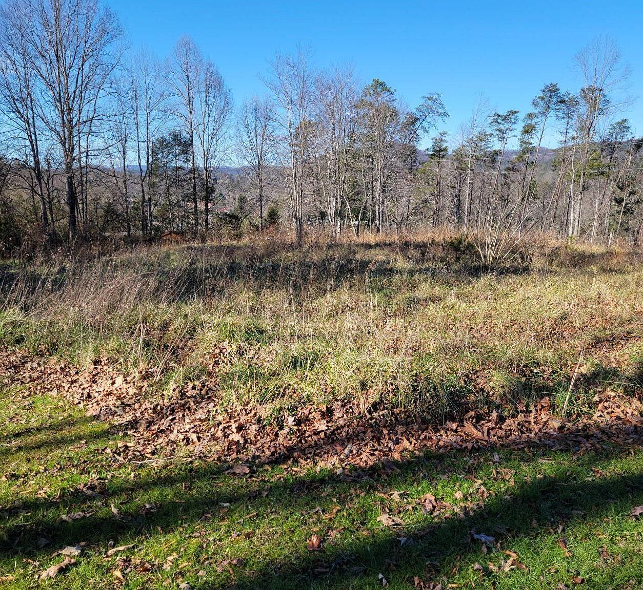 8256 E Lamar Alexander Pkwy, Townsend, TN 37882 | Zillow