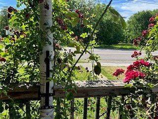 6580 Sandusky Ave, Chatfield, OH 44825 | MLS #9061574 | Zillow