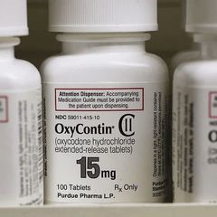 Oxycontin Online Track Package | Zillow