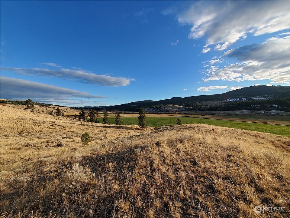 0 Lot 1 SR 20 & Aeneas Valley Road, Tonasket, WA 98855 | MLS #2128147 ...