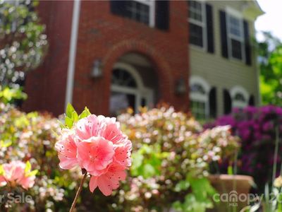 Stephanie Taylor - Real Estate Agent in Charlotte, NC - Reviews | Zillow