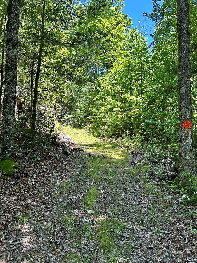 Widener Valley Rd, Glade Spring, VA 24340 | MLS #94347 | Zillow