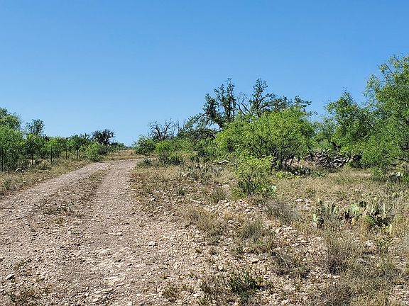 1307 Big Buck Run, Fort Mc Kavett, TX 76841 | MLS #88738 | Zillow