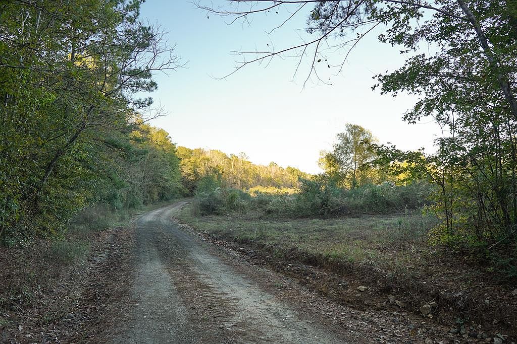 12964 County Road 1027, Newton, TX 75966 | MLS #5102578 | Zillow